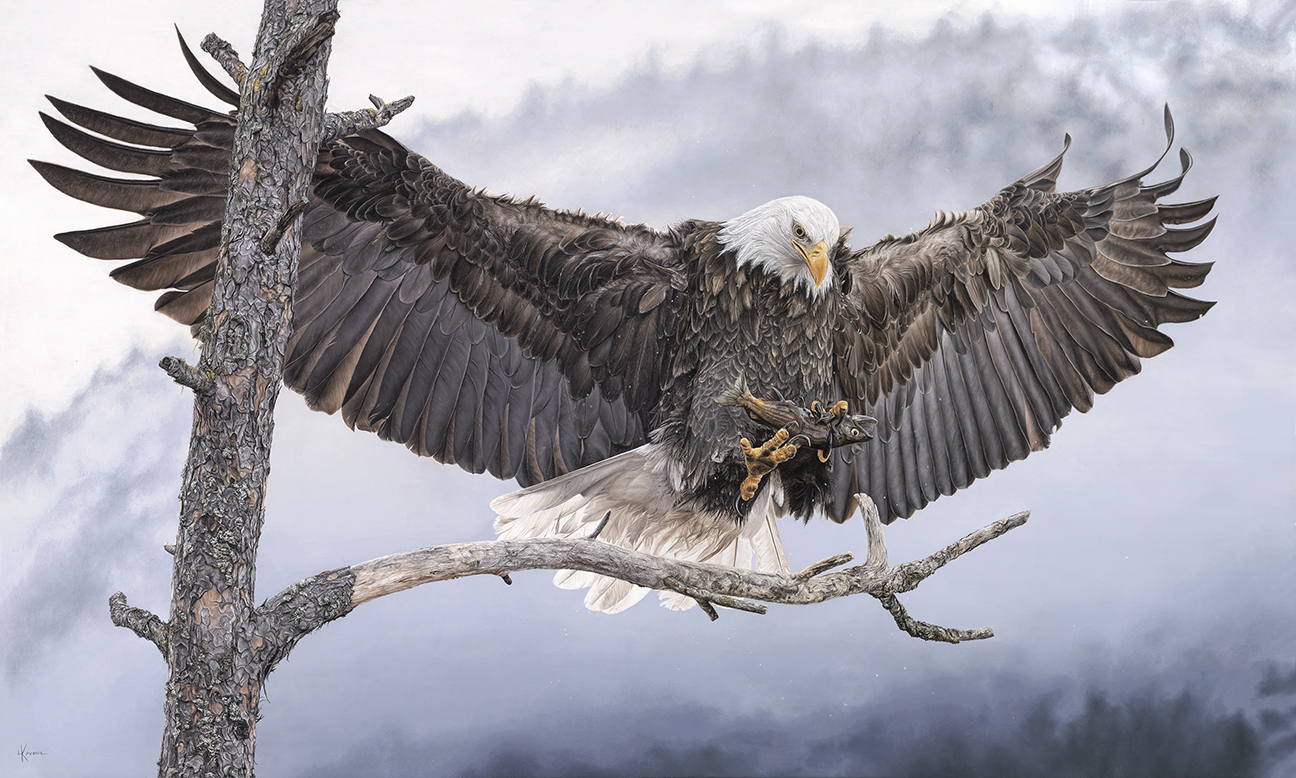 Originals for Sale | Hyper-realistic Oil Paintings